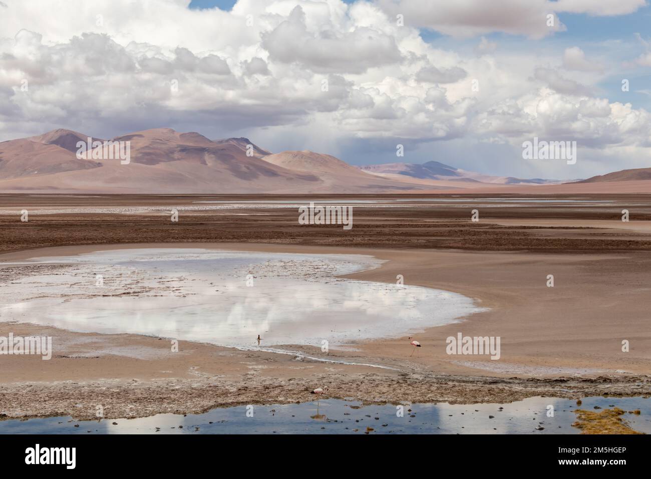 White water mirror effect at the wetland of Quepiaco River in the ...