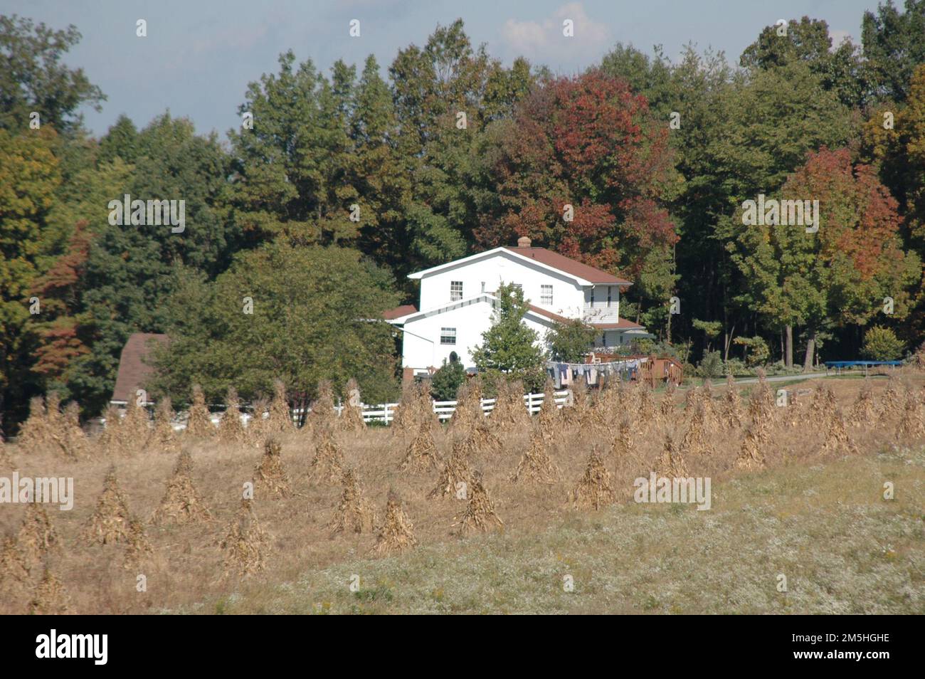Stalks together hi-res stock photography and images - Alamy