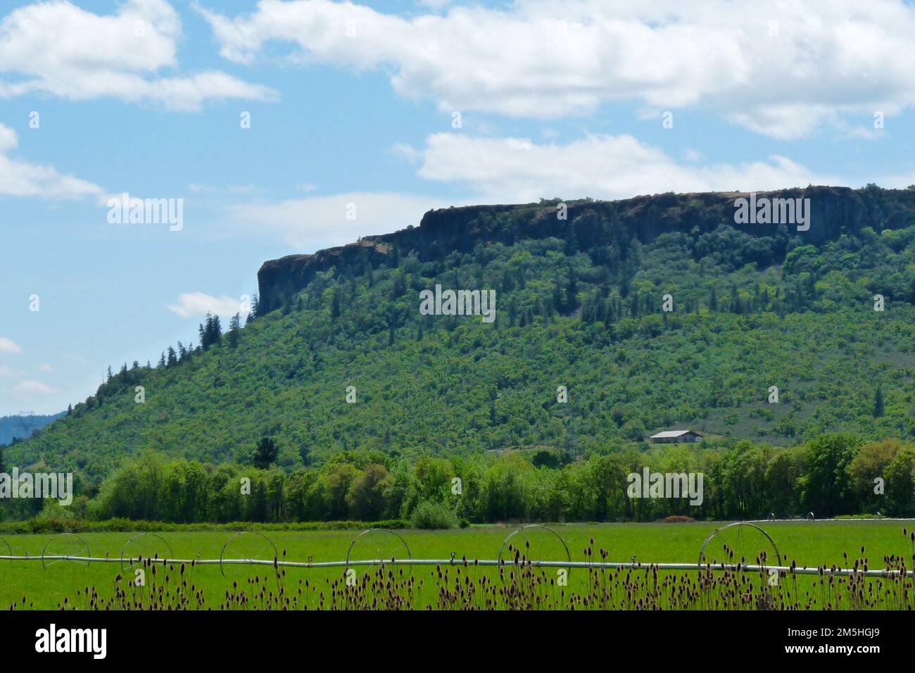 Rogue-Umpqua Scenic Byway - Lower Table Rock in the Spring. Hike up one ...