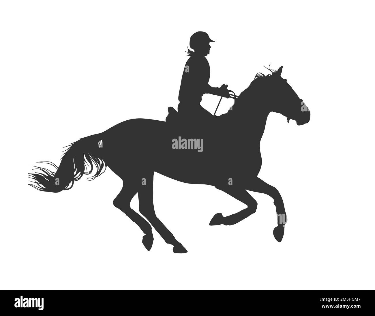 vector illustration, rider controls running horse, competition dressage ...