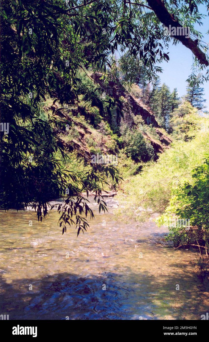 Logan Canyon Scenic Byway - Logan River Downstream. A tree casts a ...