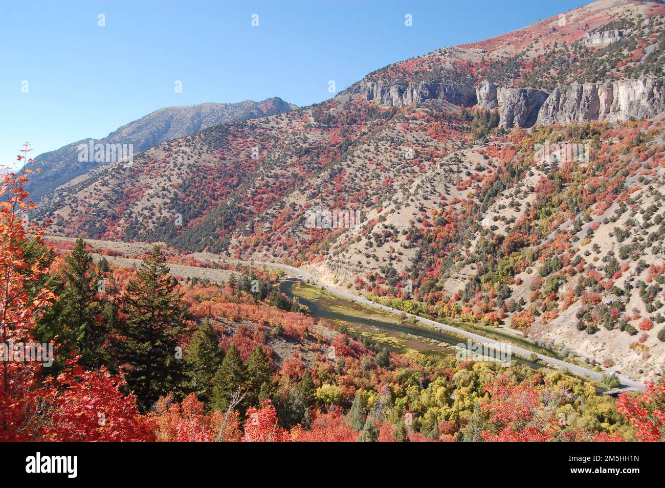 Wasatch cache national forest maple hi-res stock photography and images ...