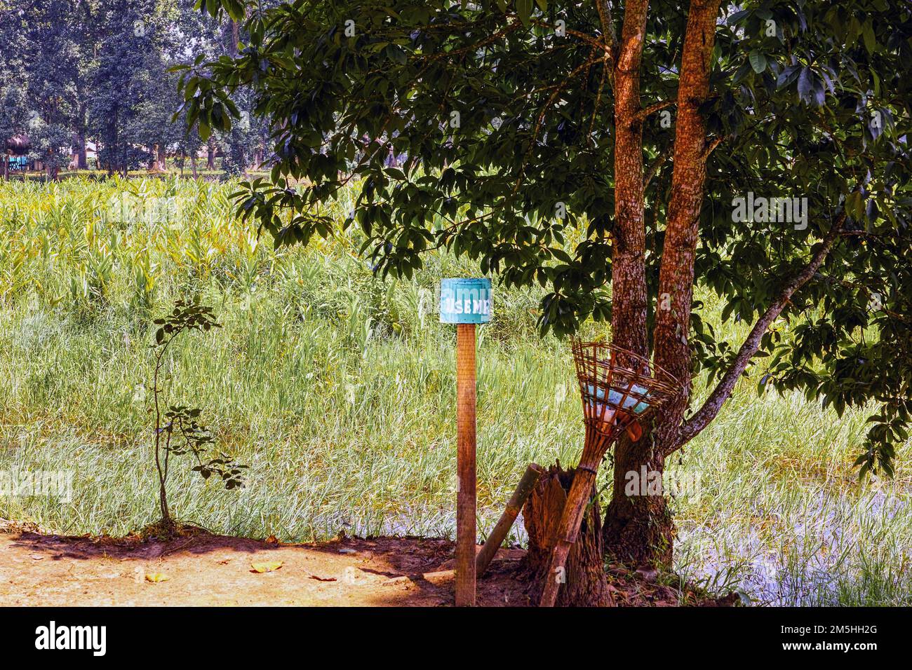 A tree and a sign on a roadway near Chandubi Lake in Assam, India Stock ...