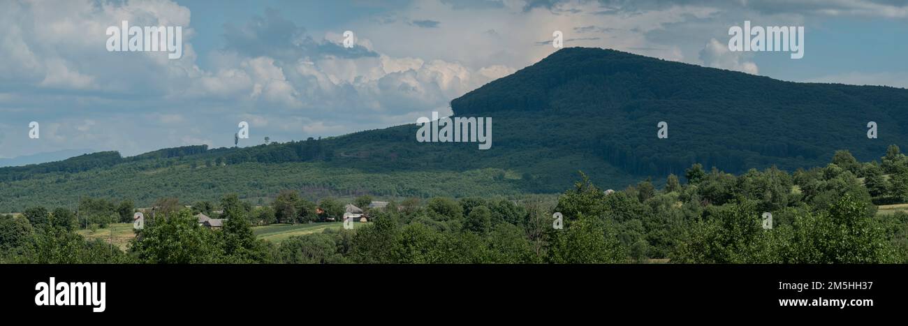 Deforestation panoramic background. Extraction of wood. Bald Mountain ...