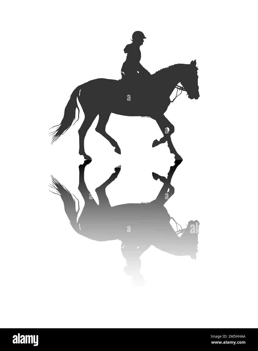 Vector silhouette image of rider on horse with reflection. The rider ...