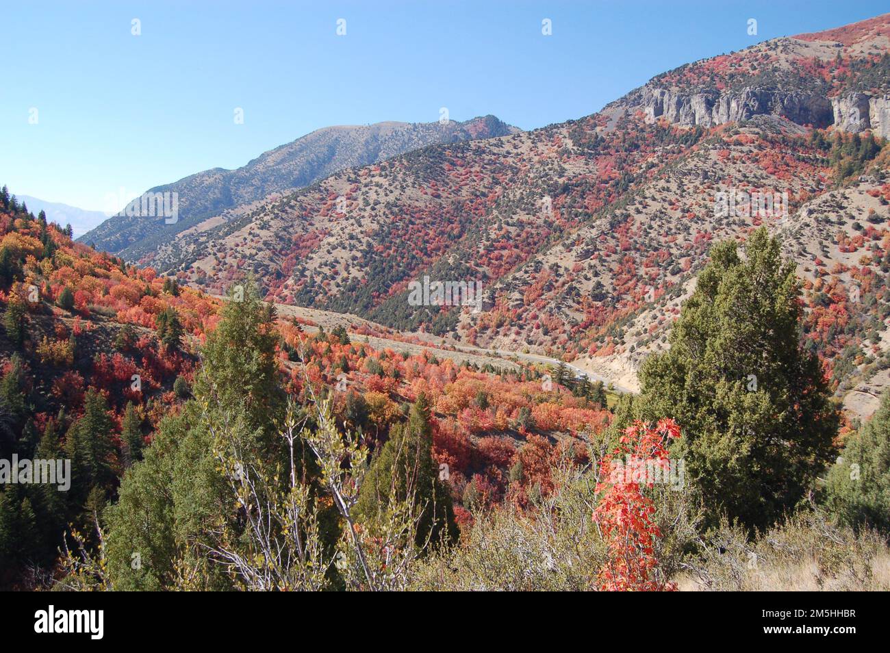Logan Canyon Scenic Byway - Early View of Logan Canyon. On the Spring ...