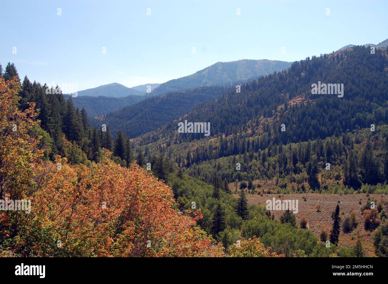 Logan Canyon Scenic Byway - Looking Down the Canyon. The Jardine ...