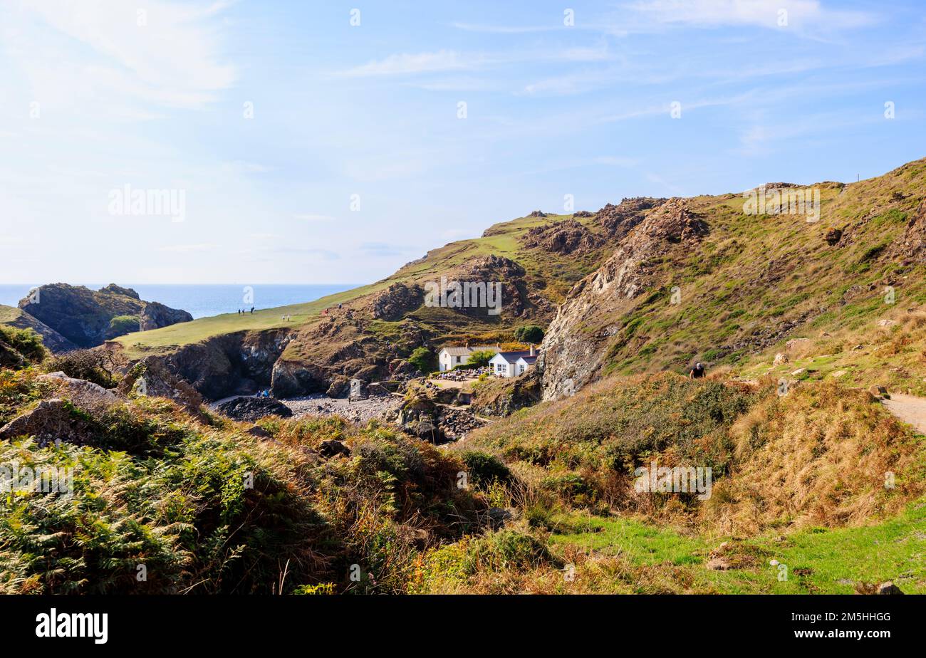 Kynance Cove on the Lizard Peninsula on the south coast of Cornwall ...