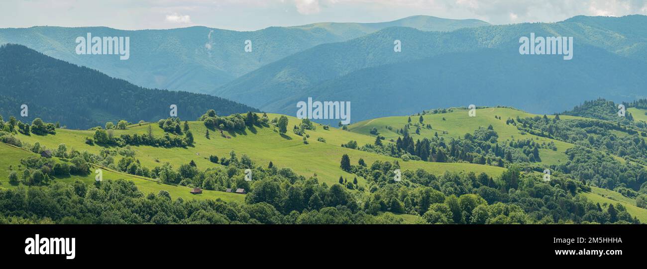 Deforestation of mountain forests. Human impact on the environment ...