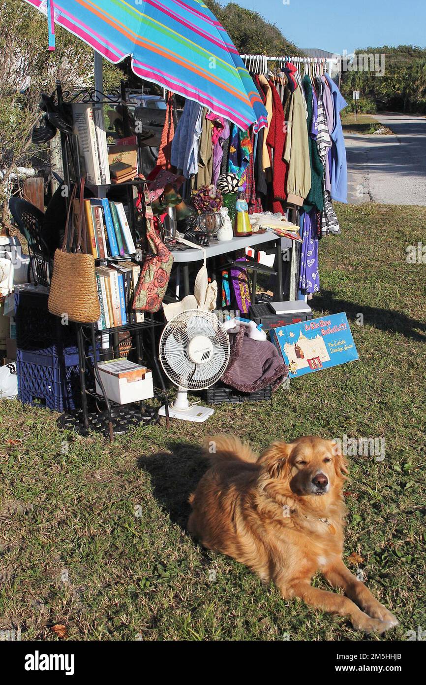 Dog in scenic location hi-res stock photography and images - Alamy