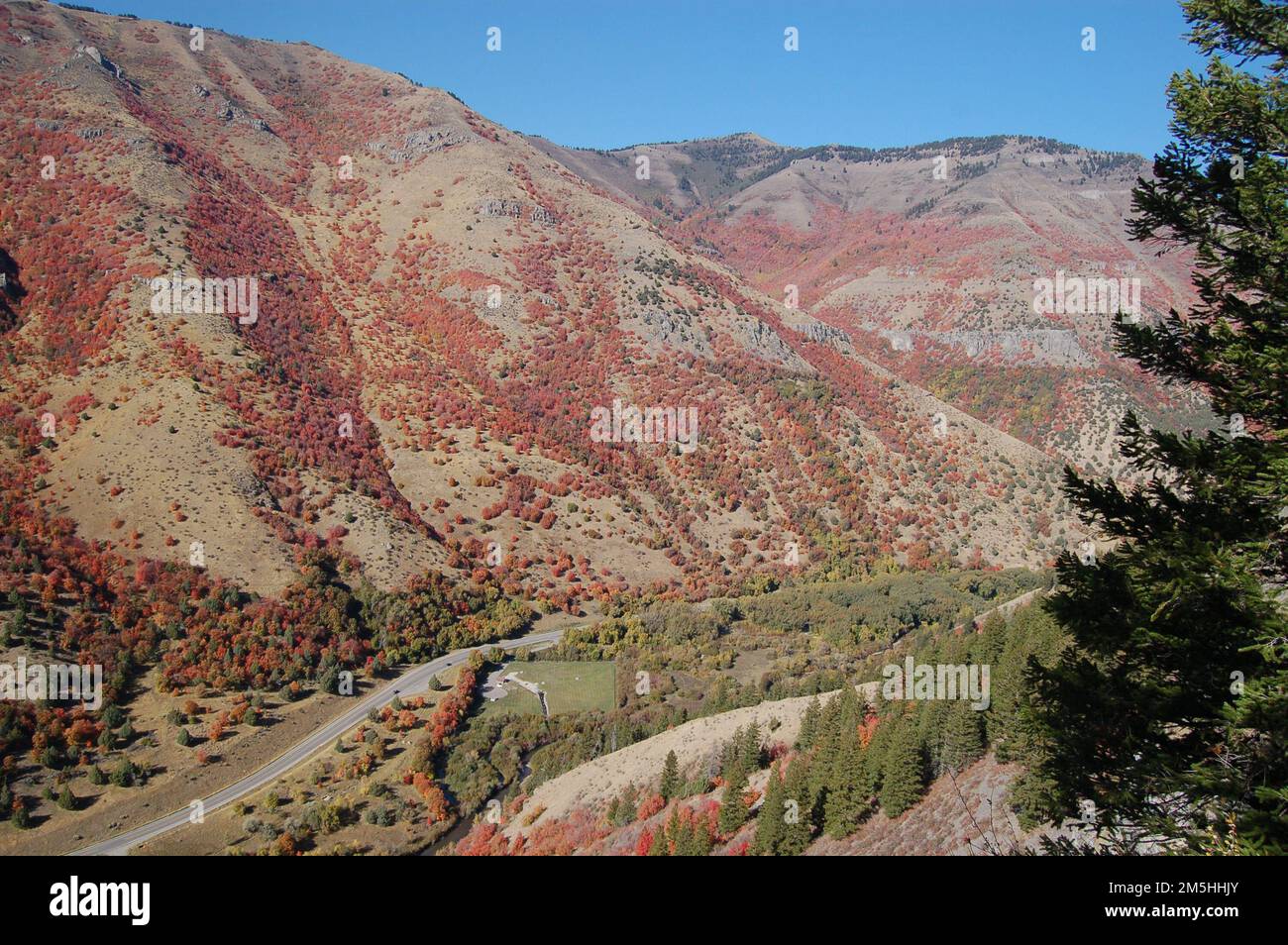 801 red hi-res stock photography and images - Alamy