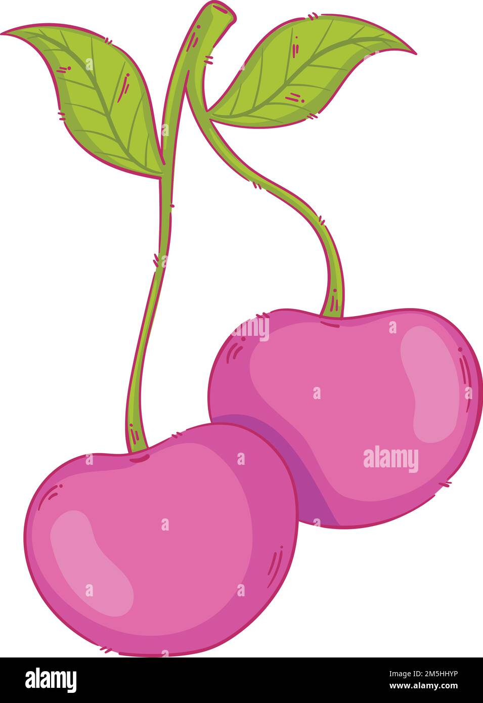 pink cherries fruits Stock Vector Image & Art - Alamy