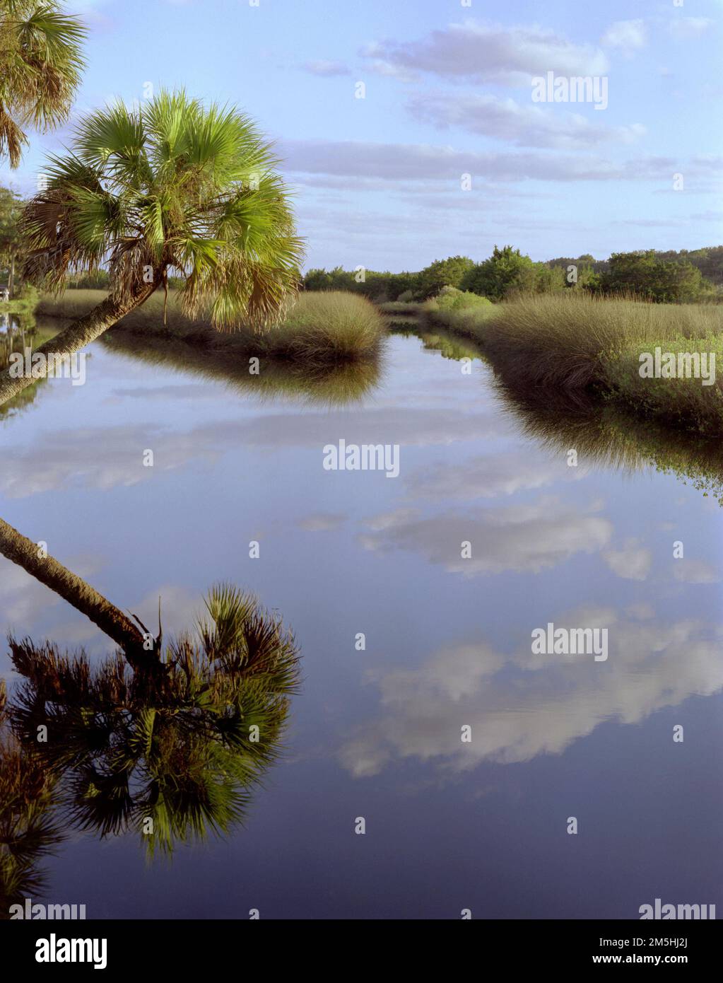 Ormond Scenic Loop & Trail - Date Palm Reflection on Highbridge Road ...