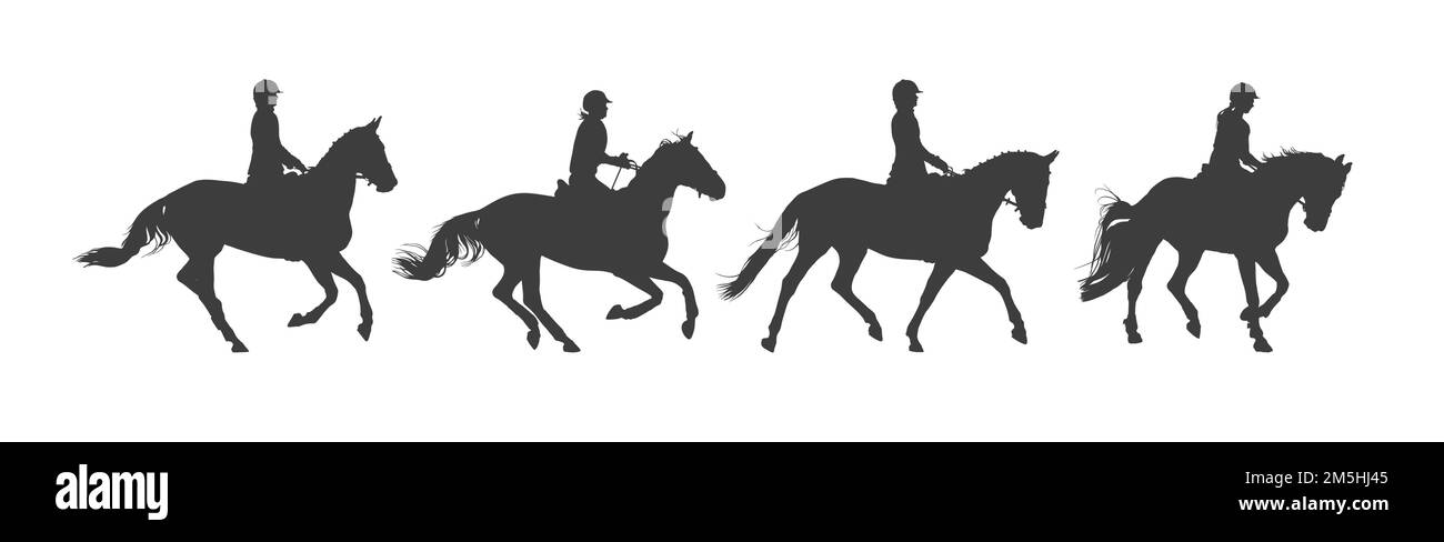 Equestrian sport. Horseback riding. Rider on horse. Silhouette black ...