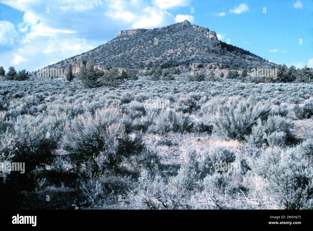 Outback Scenic Byway - Table Rock. Small bushes cover the sandstone ...