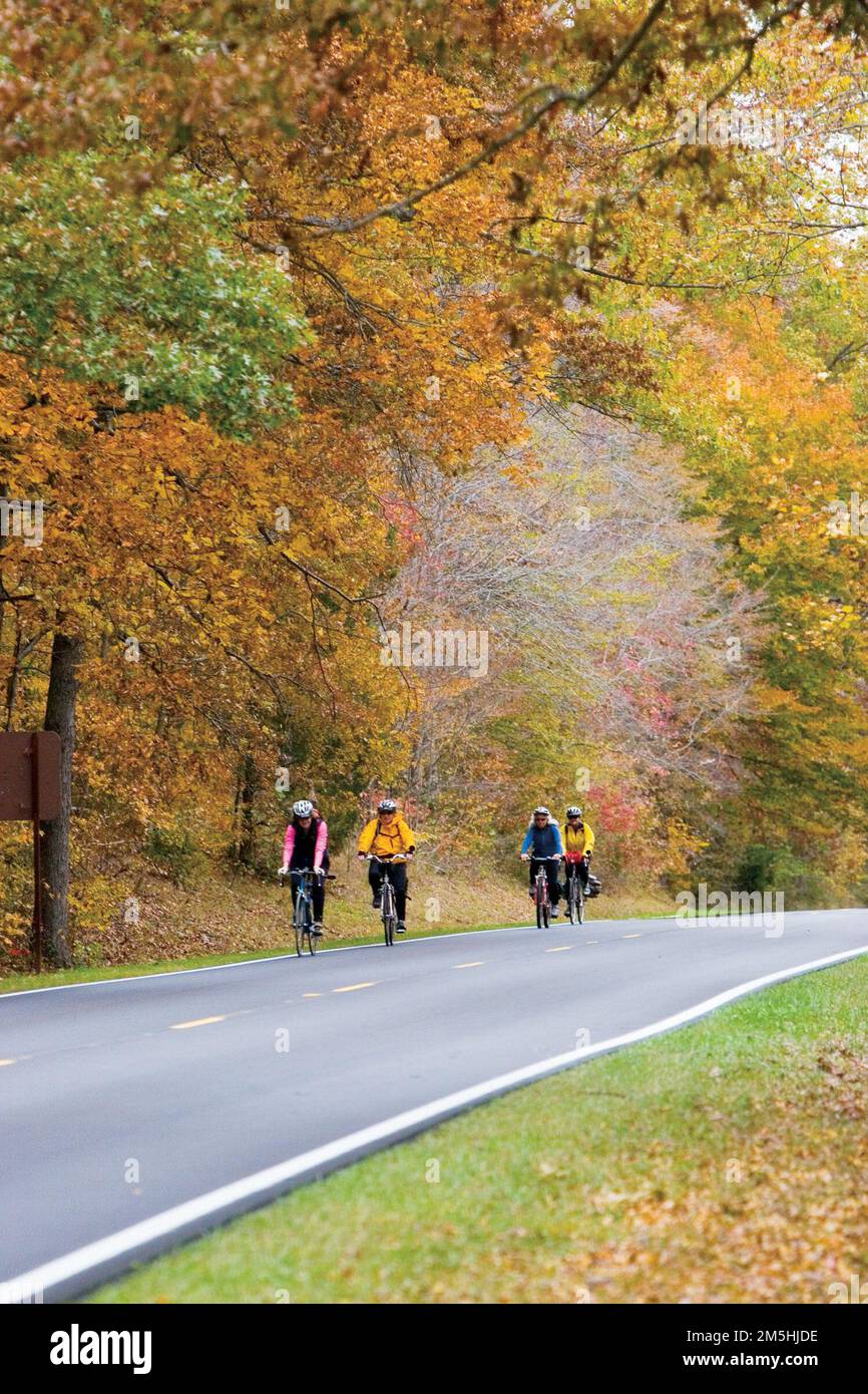 Natchez Trace Parkway - Biking the Natchez Trace. Striking fall foliage ...