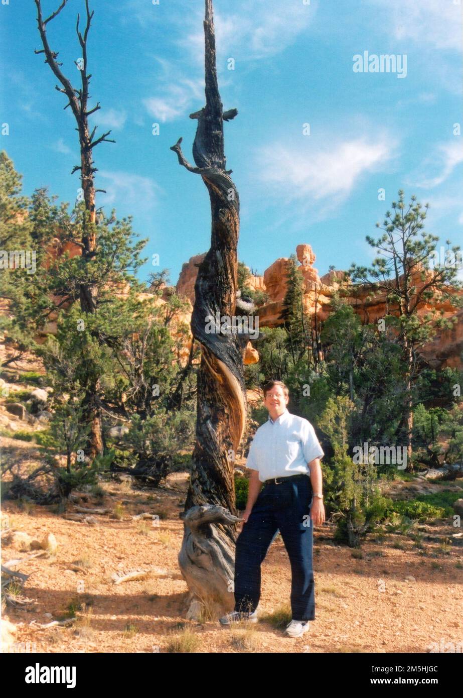 Scenic Byway 12 - A Twisted Tree in Losee Canyon. A visitor stands ...