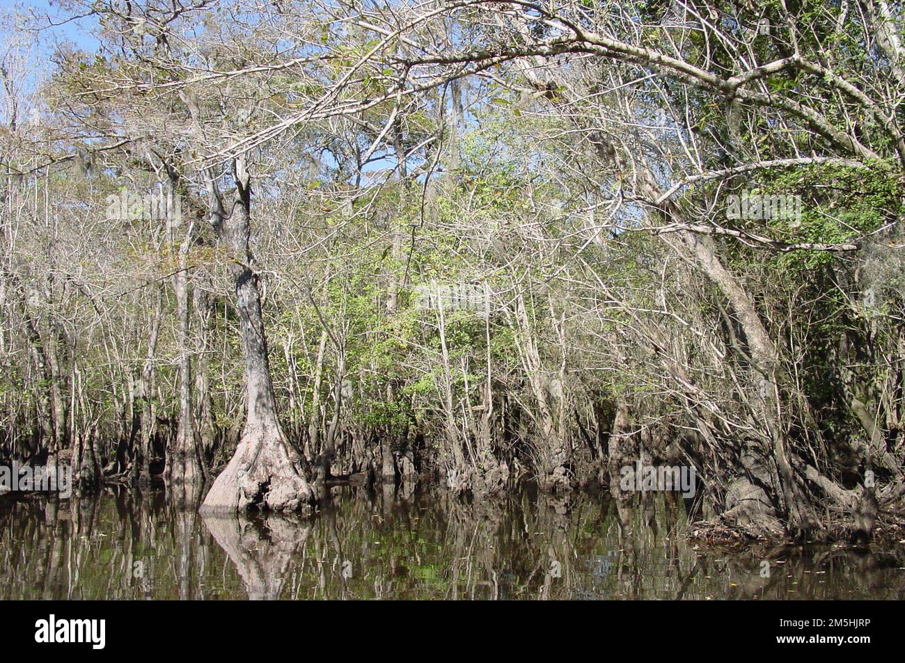 Big Bend Scenic Byway - Three Rivers Bridge. Within the Apalachicola ...