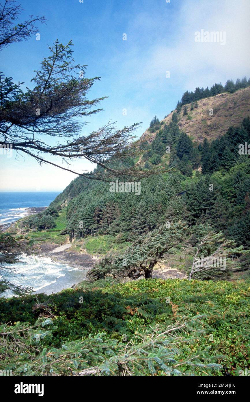 Pacific Coast Scenic Byway - Oregon - Ocean and Forested Hills. The ...