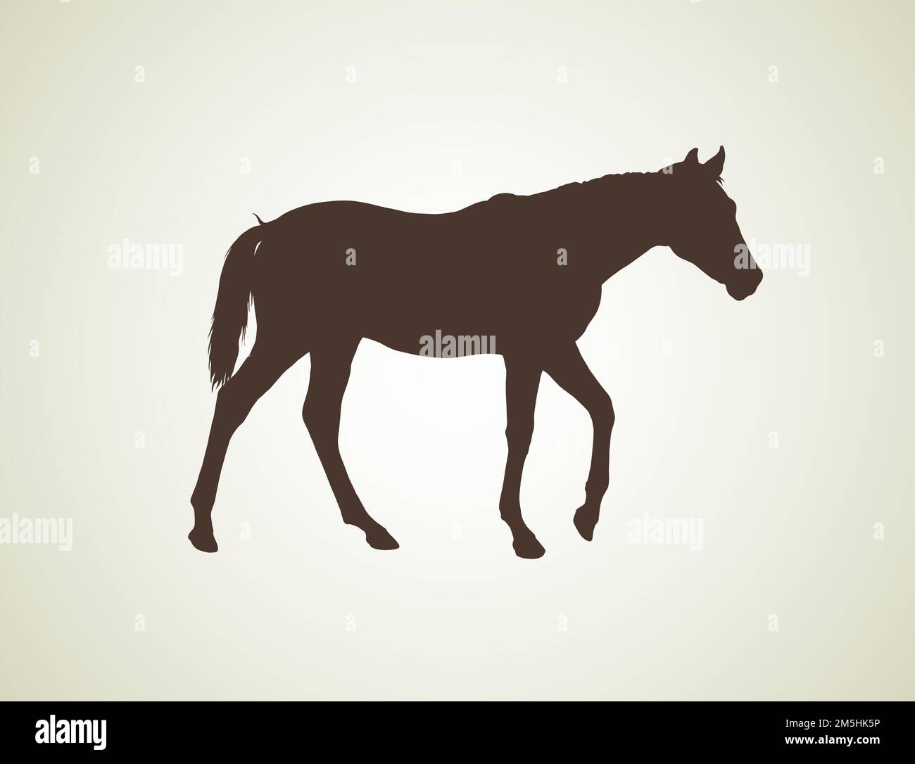 realistic silhouette young horse, vector illustration Stock Vector ...
