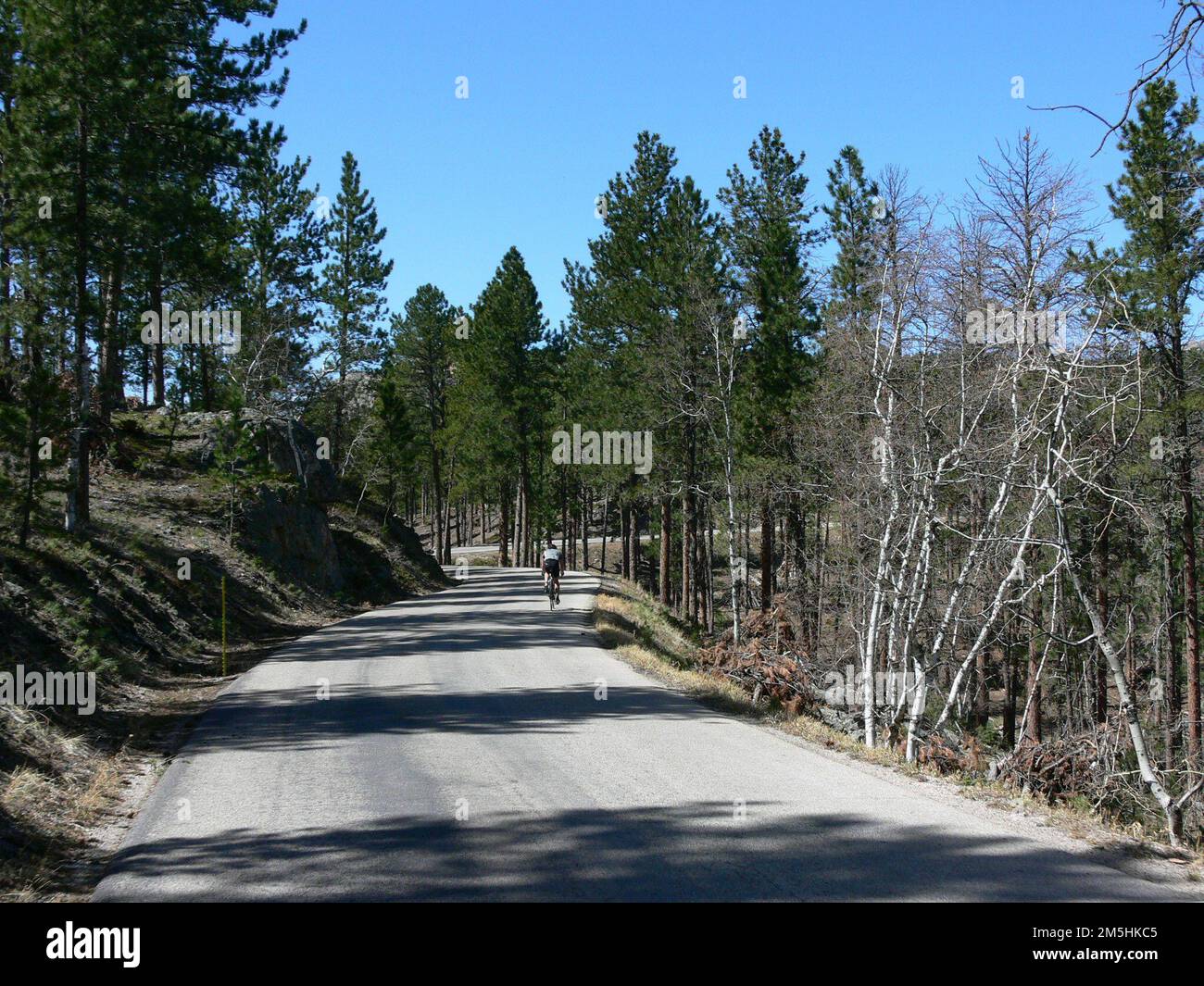 Peter Norbeck Scenic Byway - Peter Norbeck Uphill Climb. A lone cyclist ...