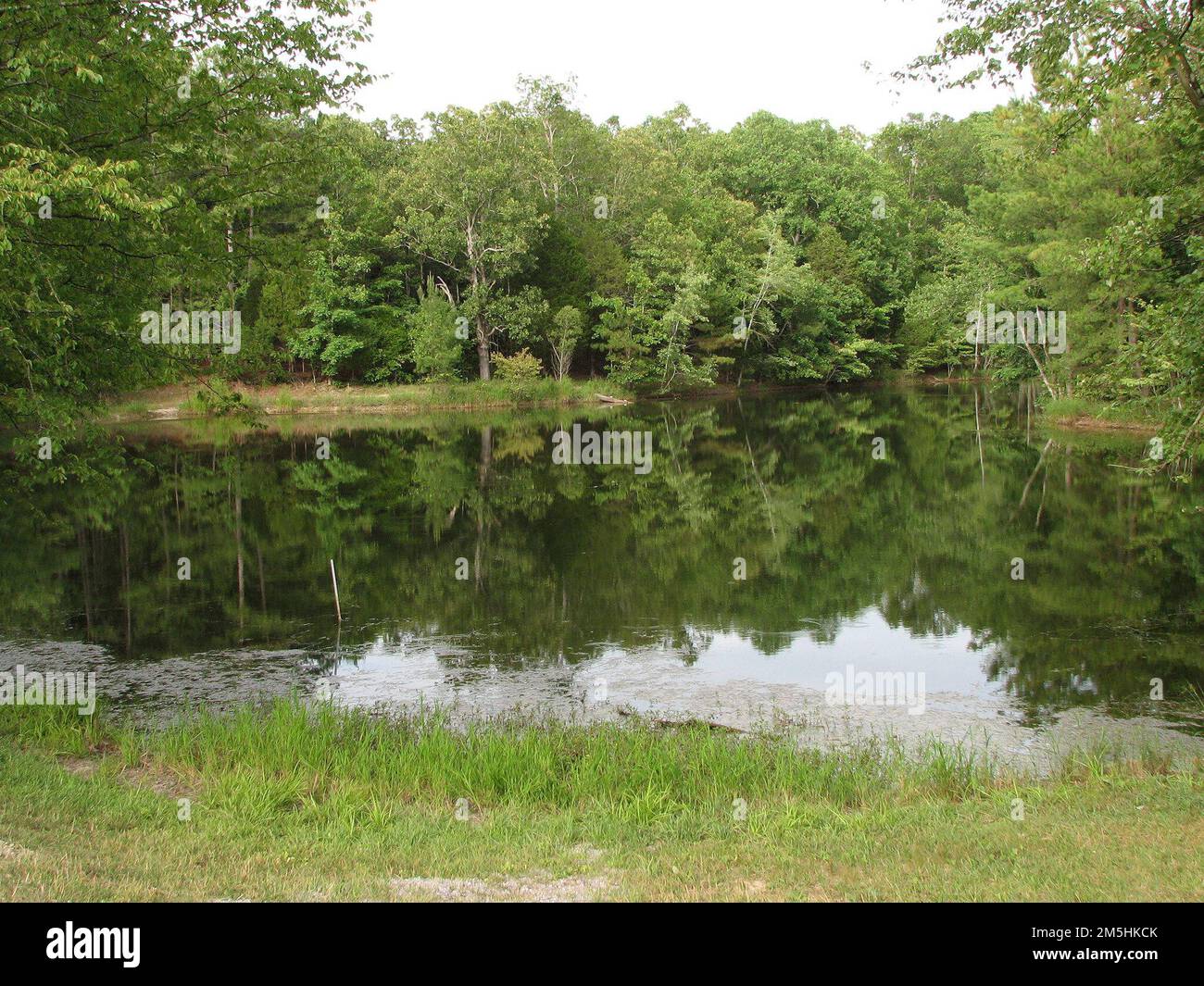 Woodlands Trace - A Quiet Pond at the Cedar Pond Picnic Area. Before a ...