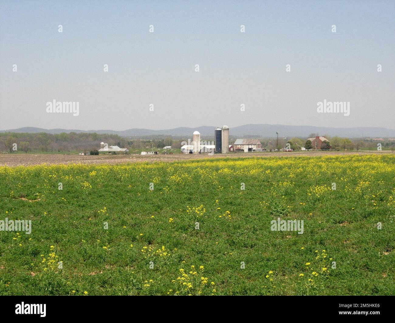 Carrollton manor hi-res stock photography and images - Alamy