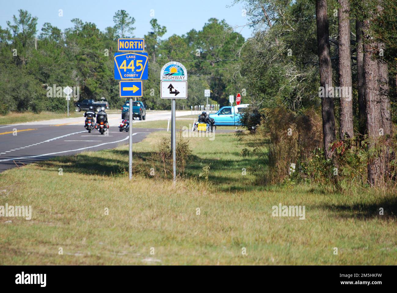 Florida Black Bear Scenic Byway - Florida Scenic Highway and Lake ...