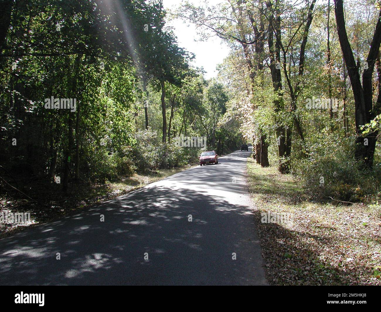 Millstone Valley Scenic Byway - Sun Streaming Through the Trees on ...