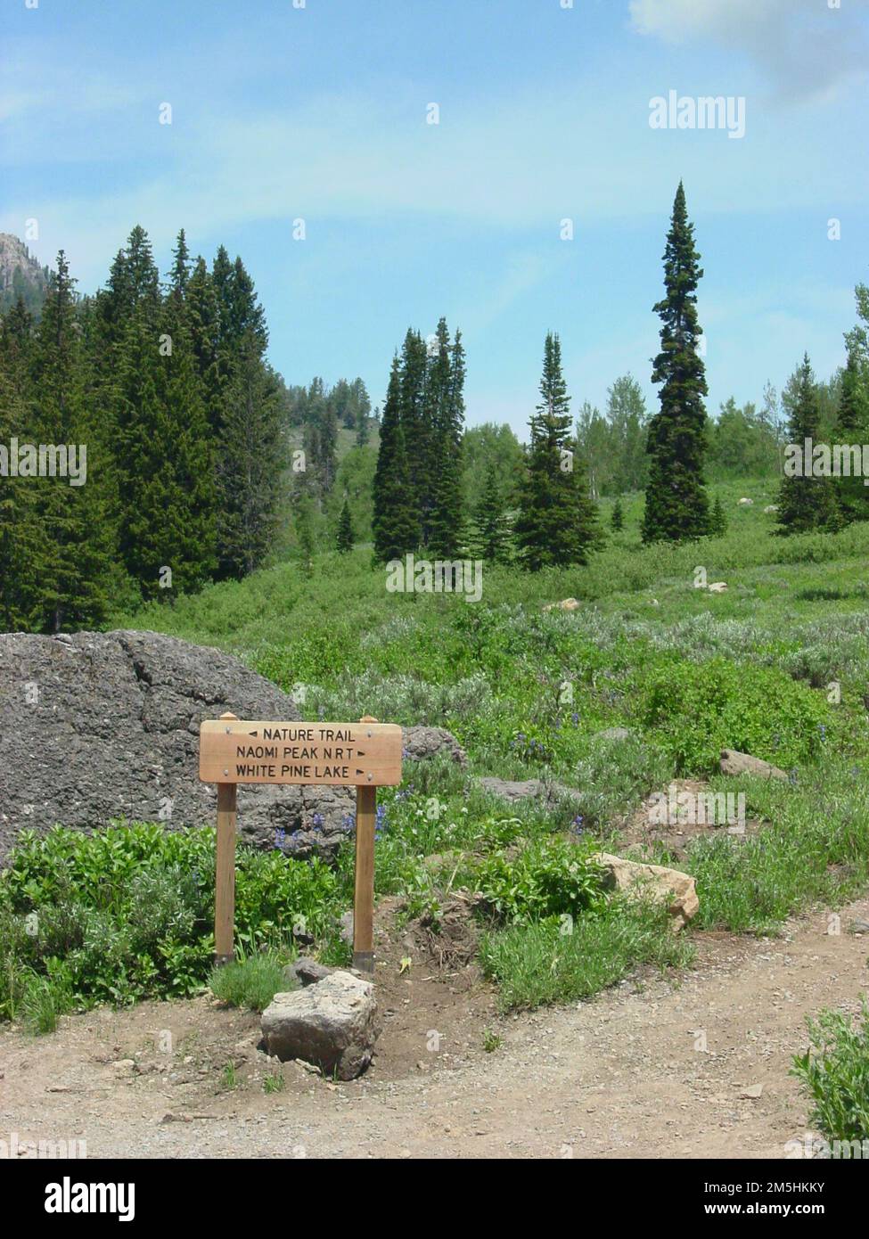 Logan Canyon Scenic Byway - A Fork in the Trail. A wooden sign ...
