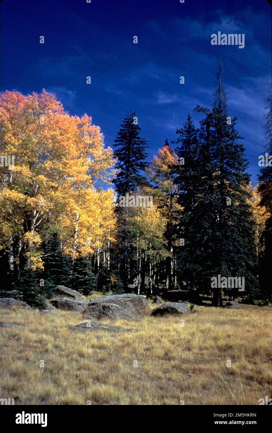 Trail of the Mountain Spirits Scenic Byway - Fall Foliage Along the ...