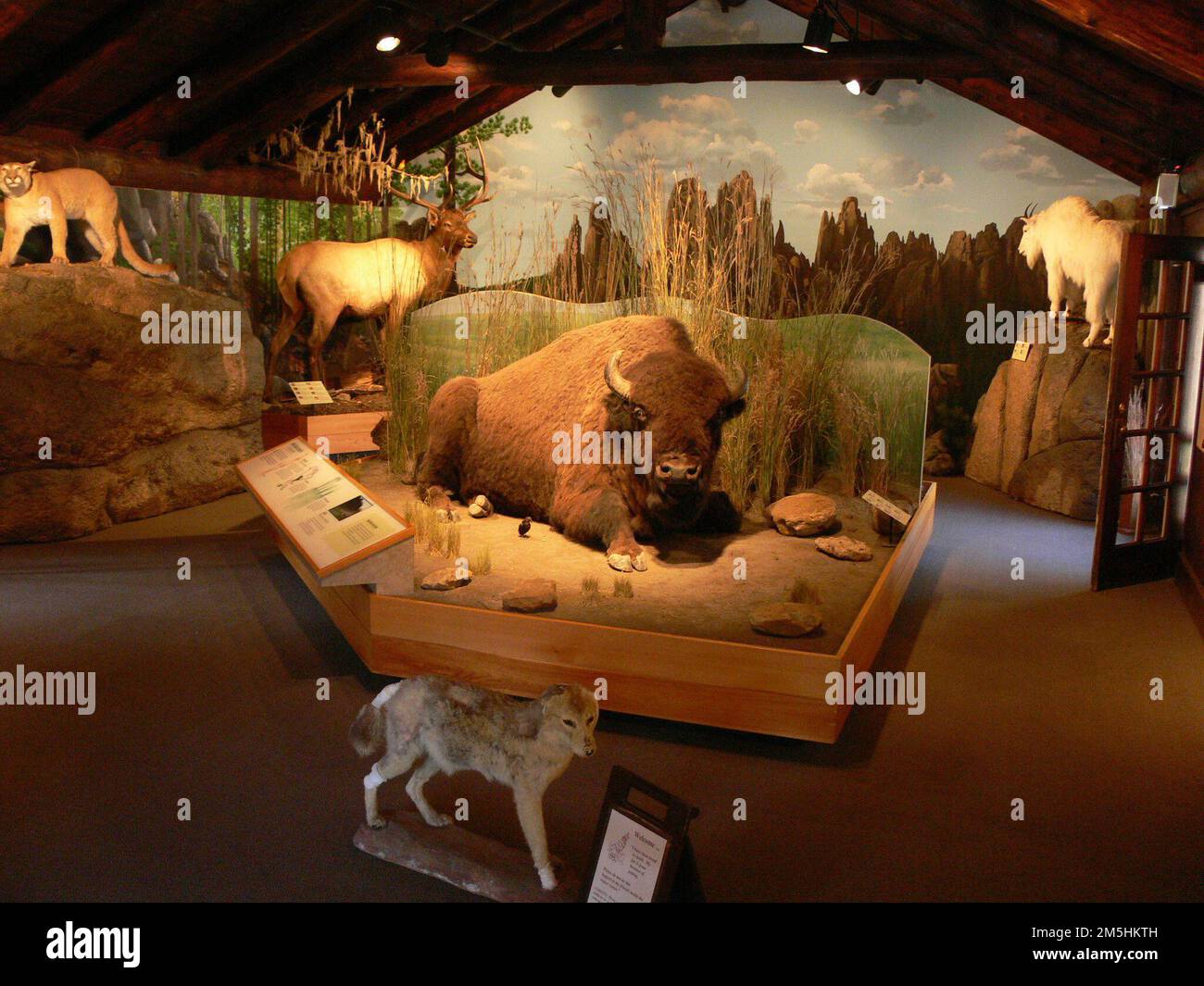 Peter Norbeck Scenic Byway - Peter Norbeck Wildlife Exhibit. The Peter ...