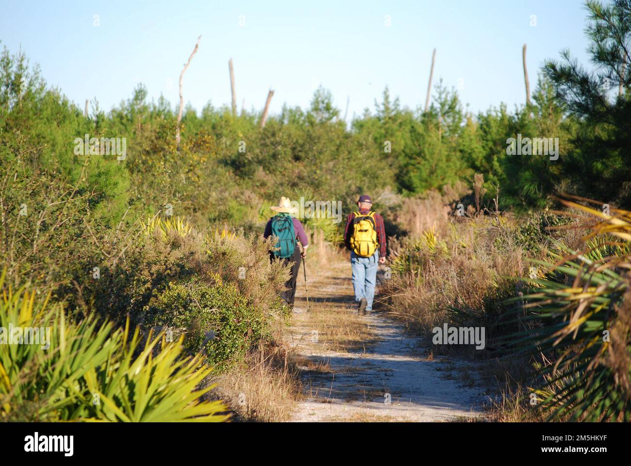 Xeric habitat hi-res stock photography and images - Alamy
