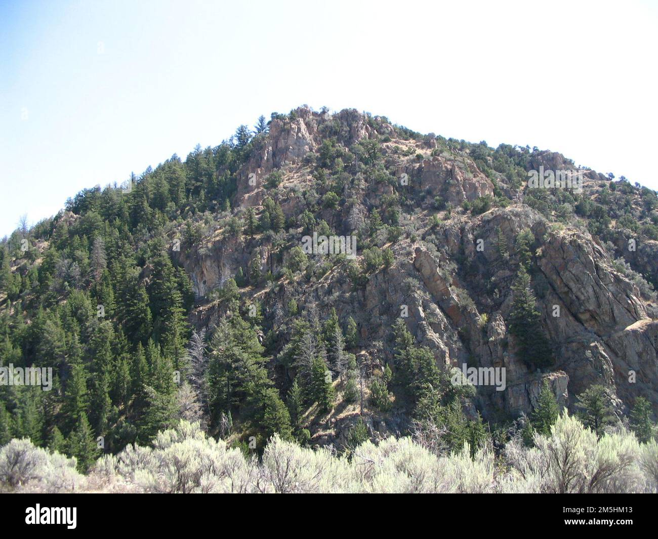 Pioneer Historic Byway - Sheep Rock. Mighty pines reach up as high as ...