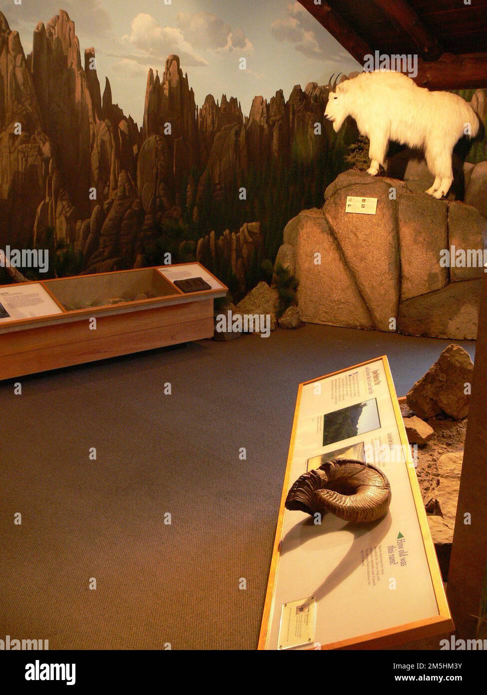 Peter Norbeck Scenic Byway - Goat Exhibit. Framed against a backdrop of ...