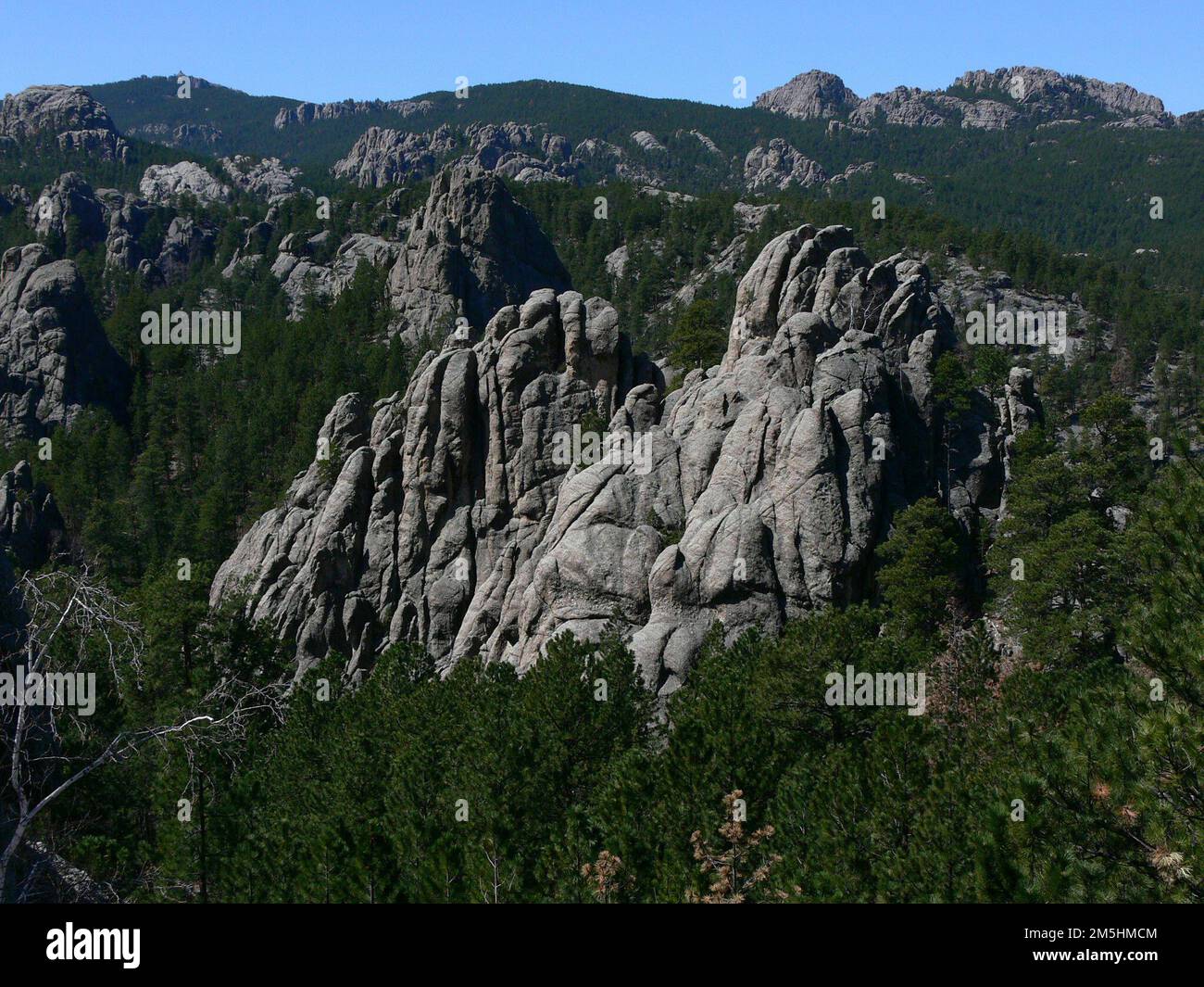 Peter Norbeck Scenic Byway - Breezy Point Landscape. The South Dakota ...