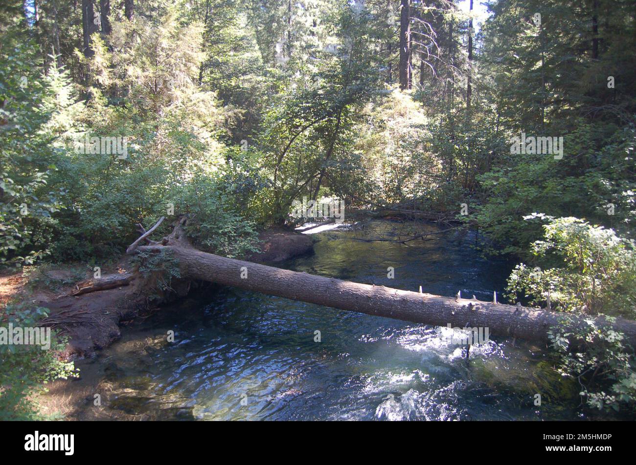 Rogue-Umpqua Scenic Byway - Log Crossing over Mill Creek. A fallen log ...