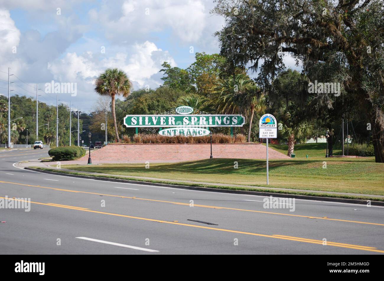 Florida Black Bear Scenic Byway - The Western Terminus at Silver ...
