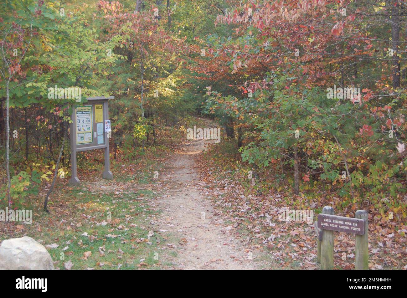 Red River Gorge Scenic Byway - Trail to Angel Windows. Fallen leaves ...