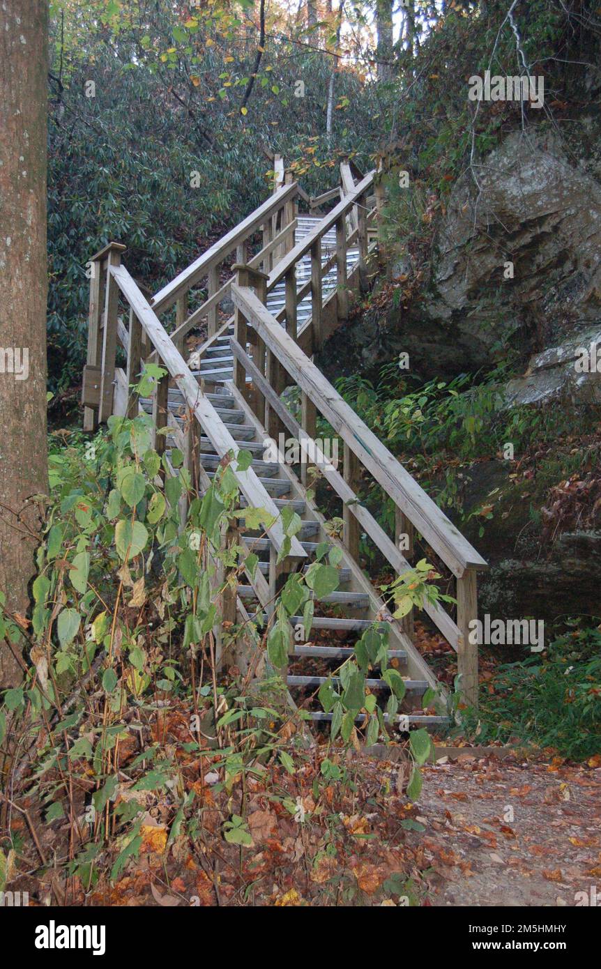 Red River Gorge Scenic Byway - Ascending Stairs on the Sky Bridge Trail ...