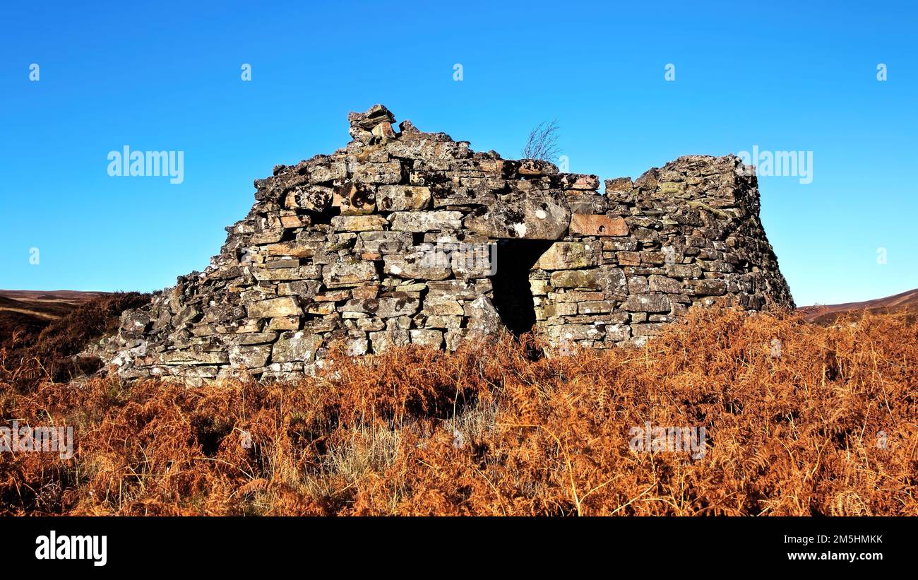 Caisteal na Coille broch (Castle Cole Stock Photo - Alamy
