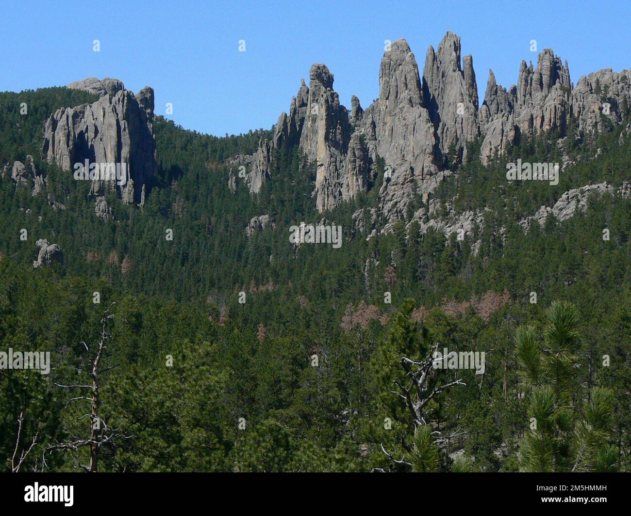 Peter Norbeck Scenic Byway - Cathedral Spires Skyline. The pinnacles of ...