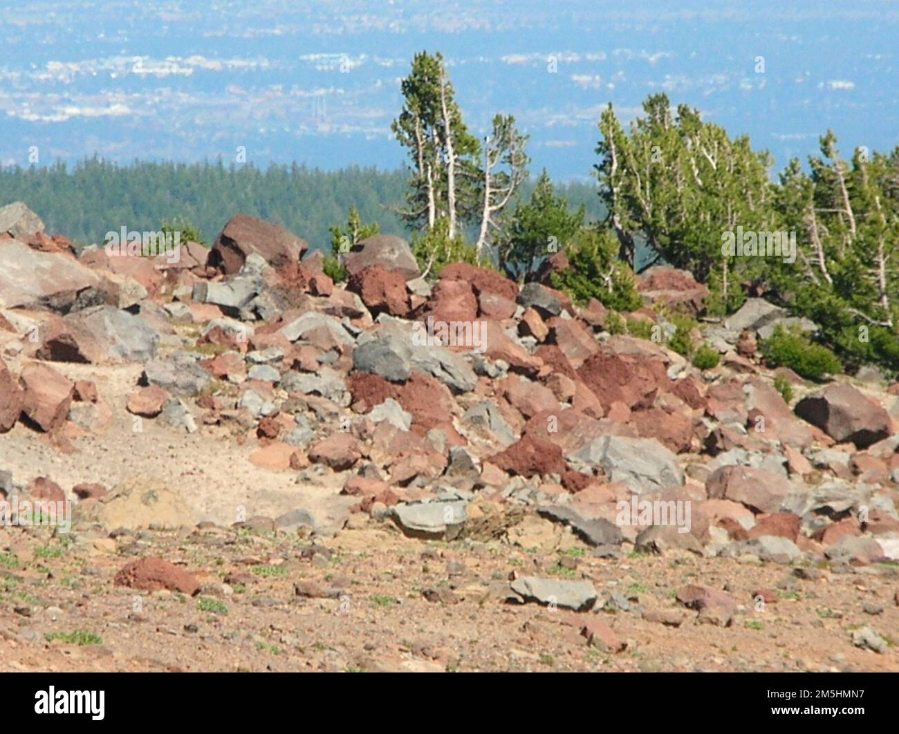 Cascade Lakes Scenic Byway - A Desert Landscape. Stunted trees and a ...