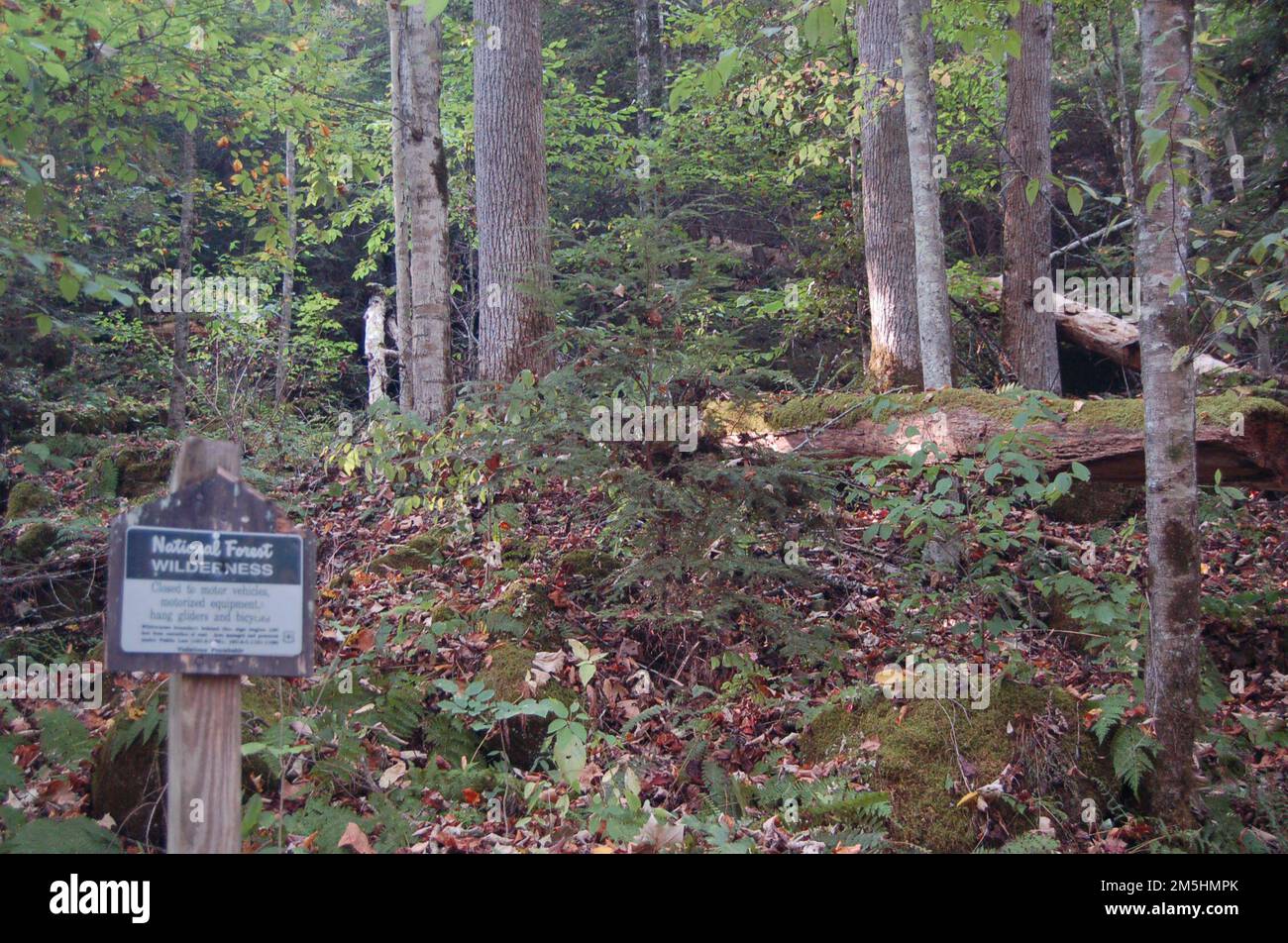 Red River Gorge Scenic Byway - Border of the Clifty Wilderness. A small ...