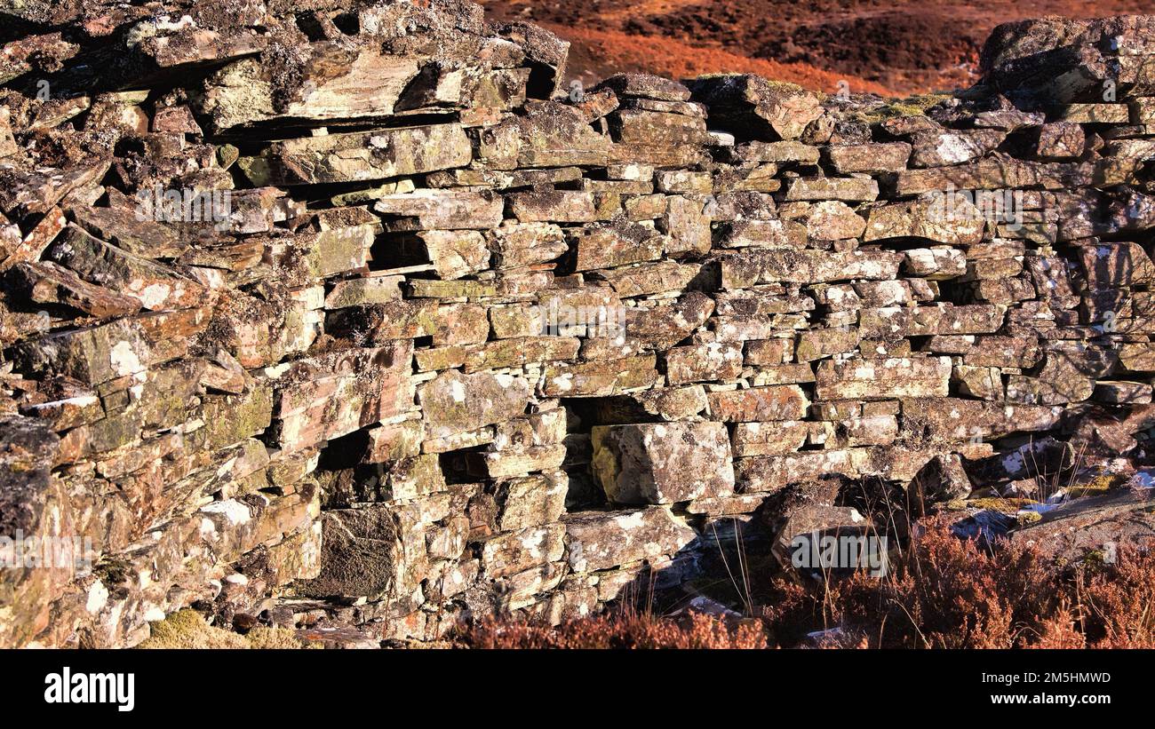 Caisteal na Coille broch (Castle Cole Stock Photo - Alamy
