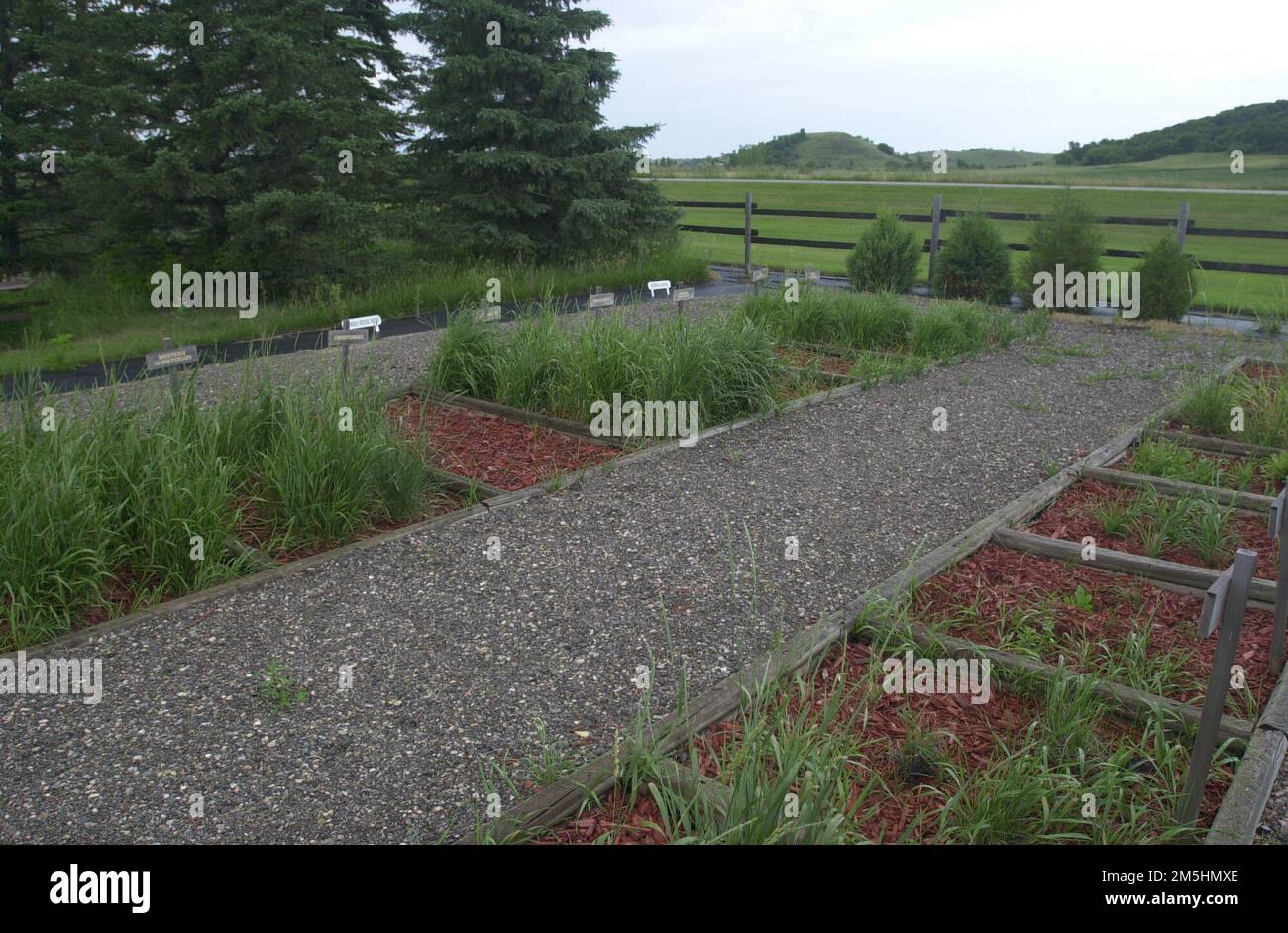 Sheyenne River Valley Scenic Byway - Sample Plant Plots at Riparian ...