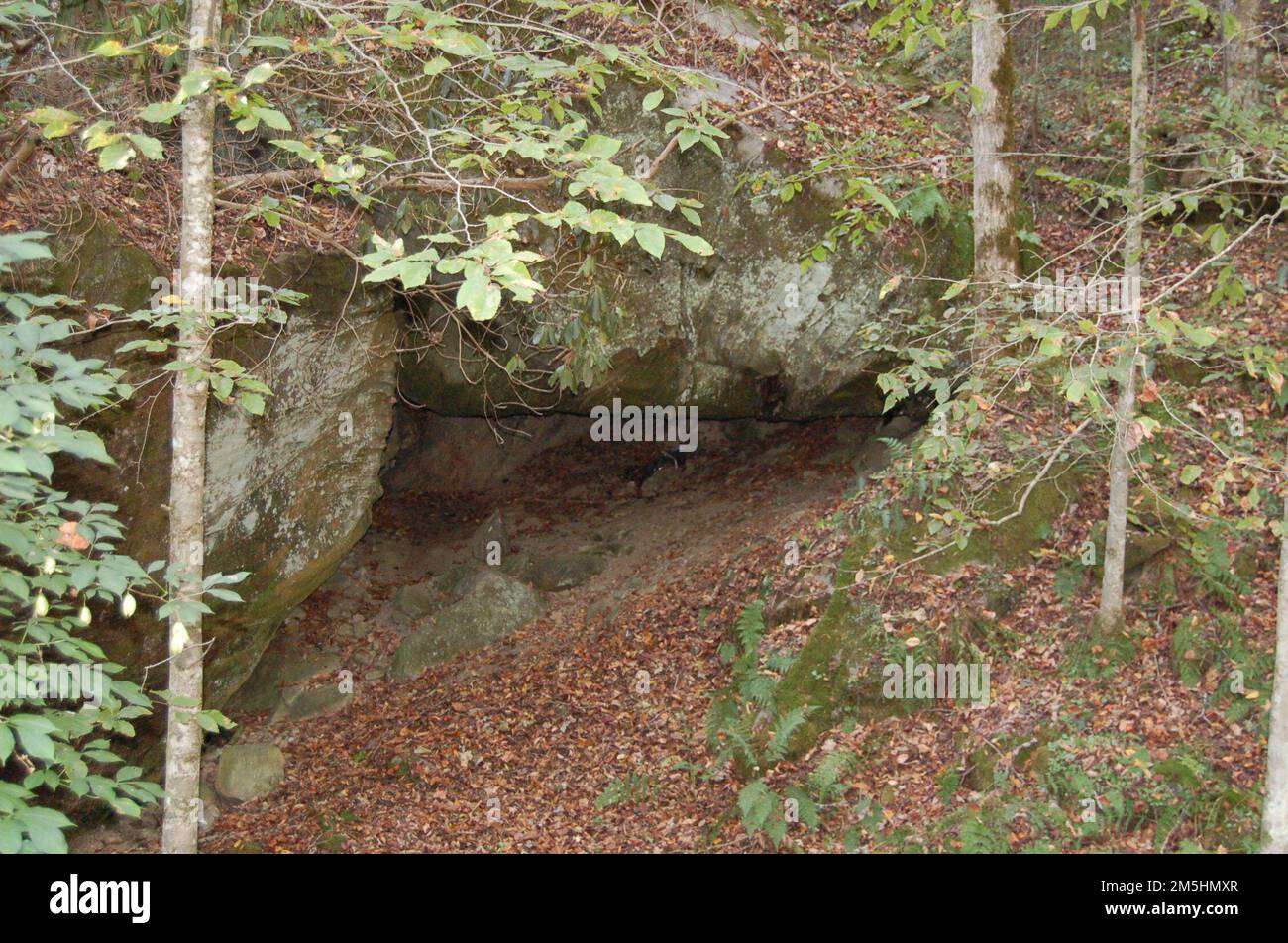 Red River Gorge Scenic Byway - Small Rock Shelter beside the Byway ...
