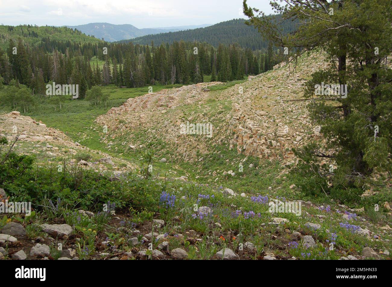 Logan Canyon Scenic Byway - Devil's Staircase on Naomi Peak Trail ...