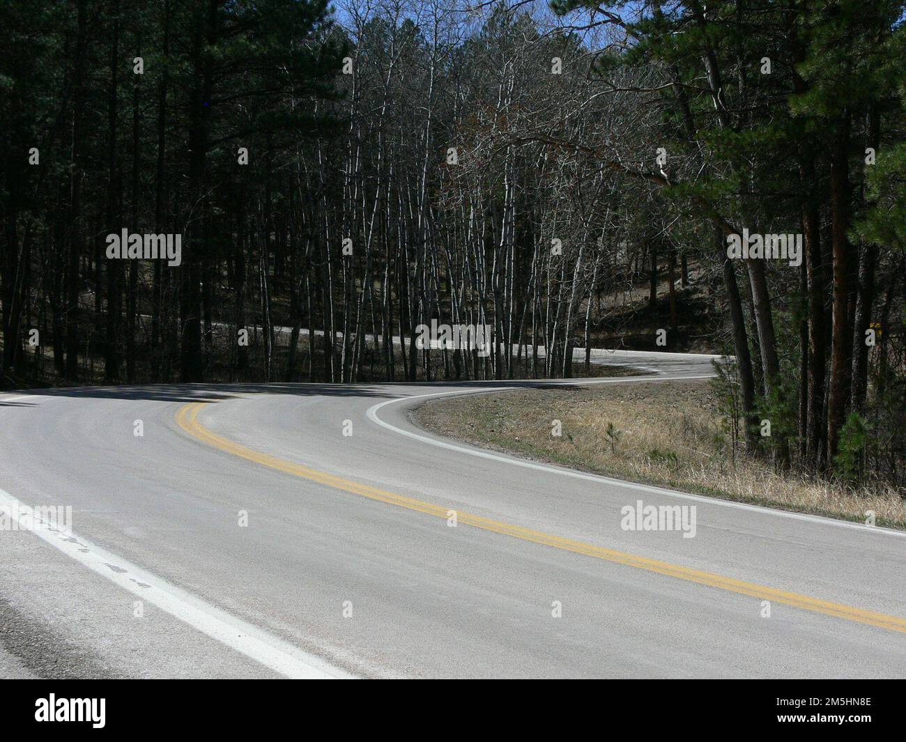 Peter Norbeck Scenic Byway - Iron Mountain Road. The next curve in the ...