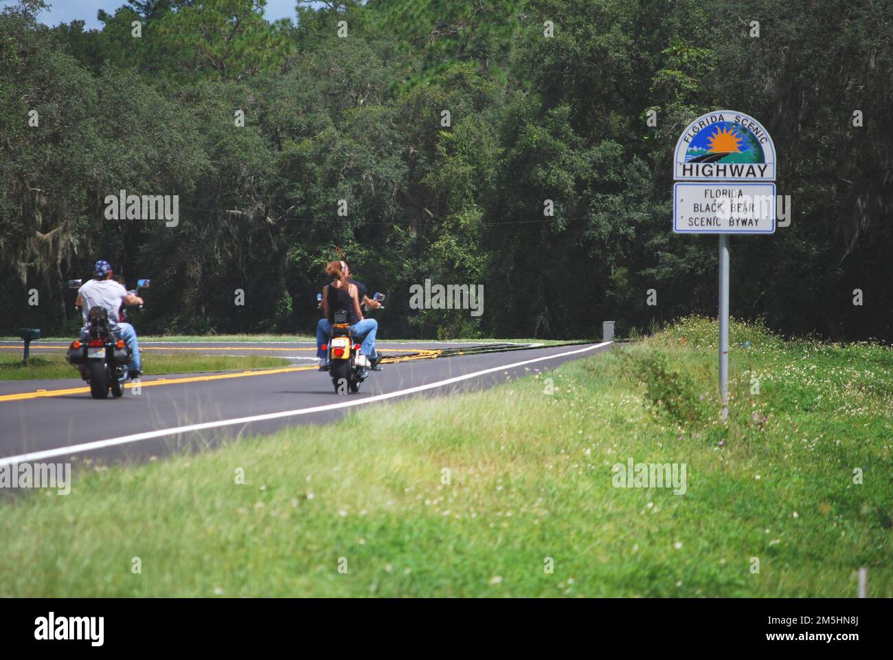 Florida Black Bear Scenic Byway - The Southern Terminus of the South ...